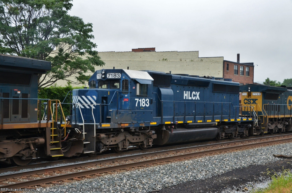 HLCX 7183 brightens this gloomy day.